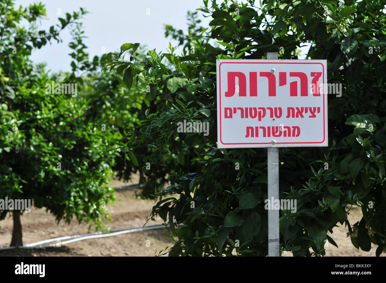 Israel, Jordan Valley, Kibbutz Degania Alef the first kibbutz ...