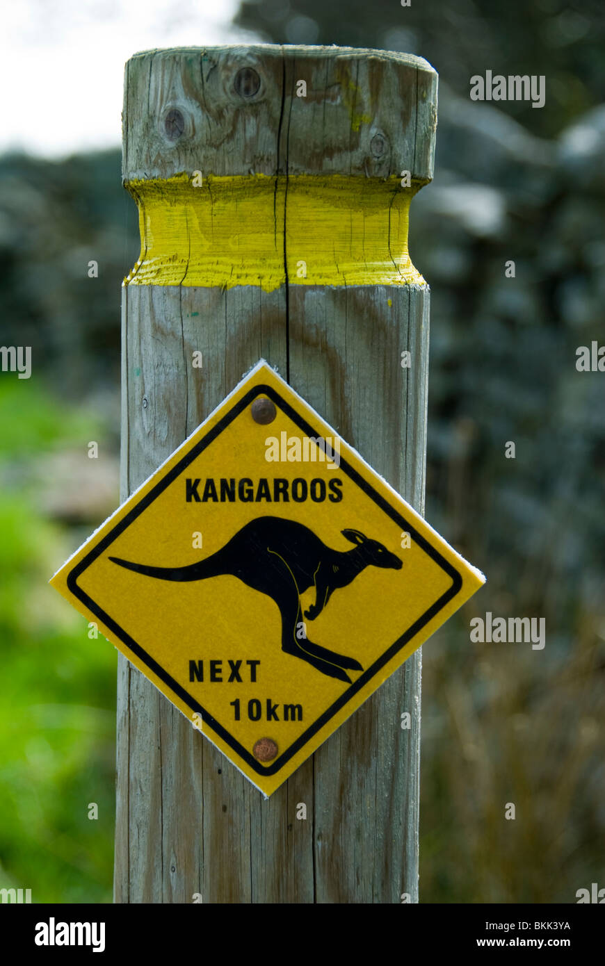Way out sign quirky hi-res stock photography and images - Alamy