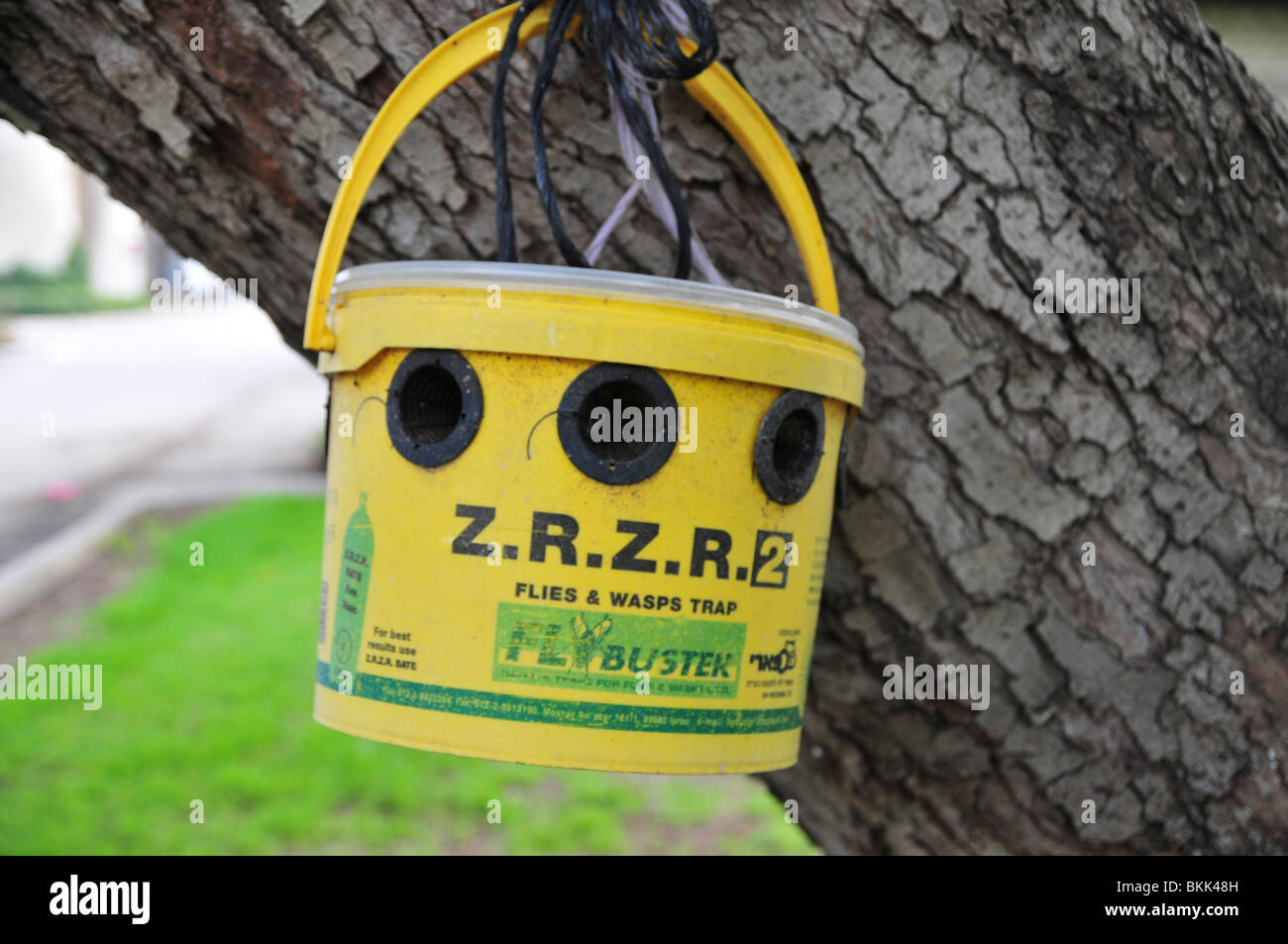 Israel, Jordan Valley, Kibbutz Degania Alef Fly and wasp trap Stock ...