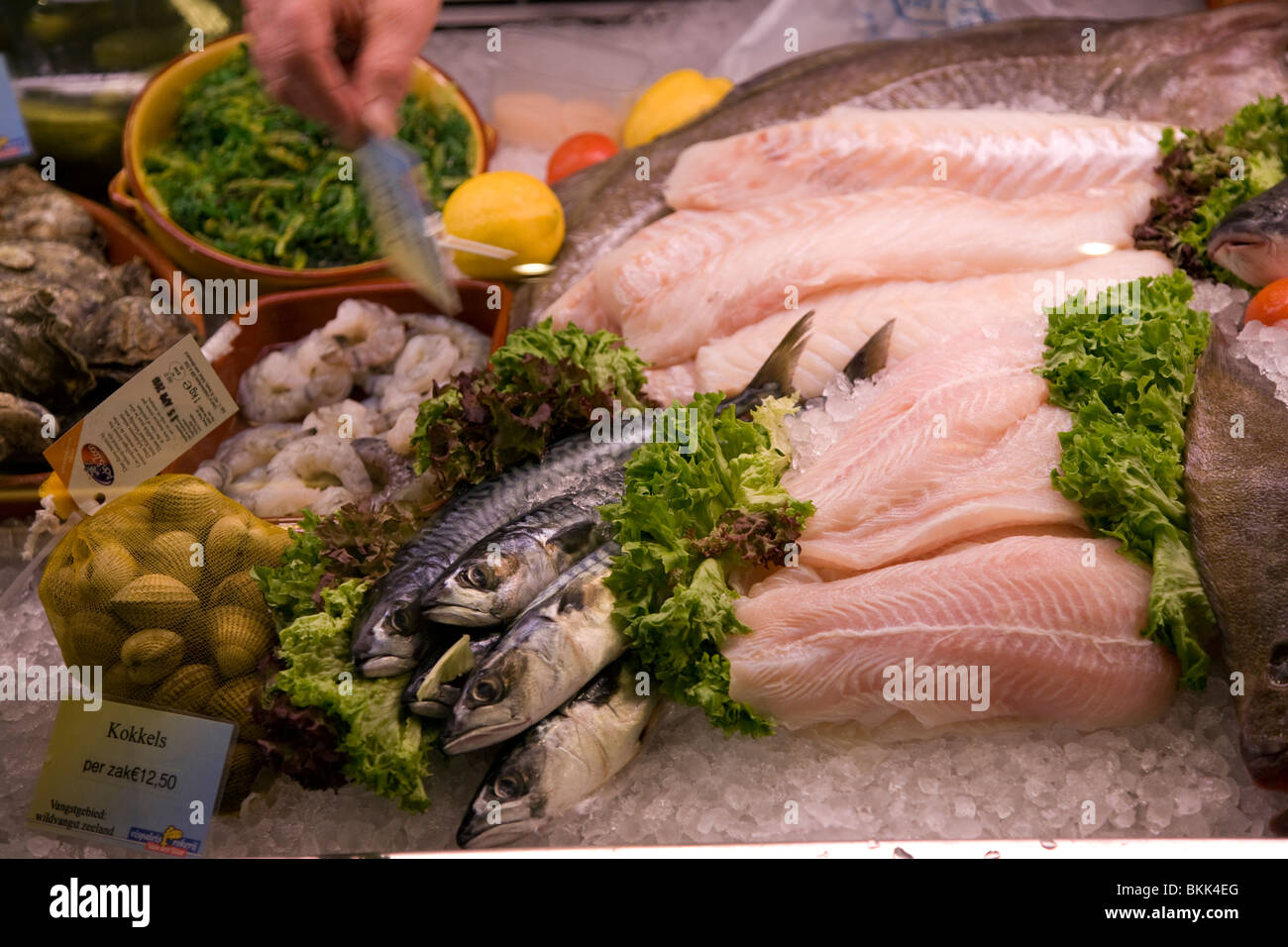Display of fresh seafood hi-res stock photography and images - Alamy