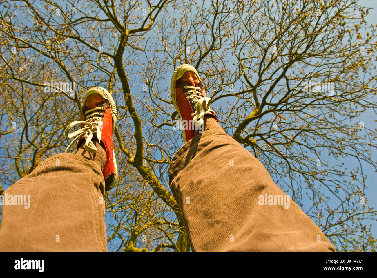 View of legs wearing red pumps falling from a tree Stock Photo - Alamy