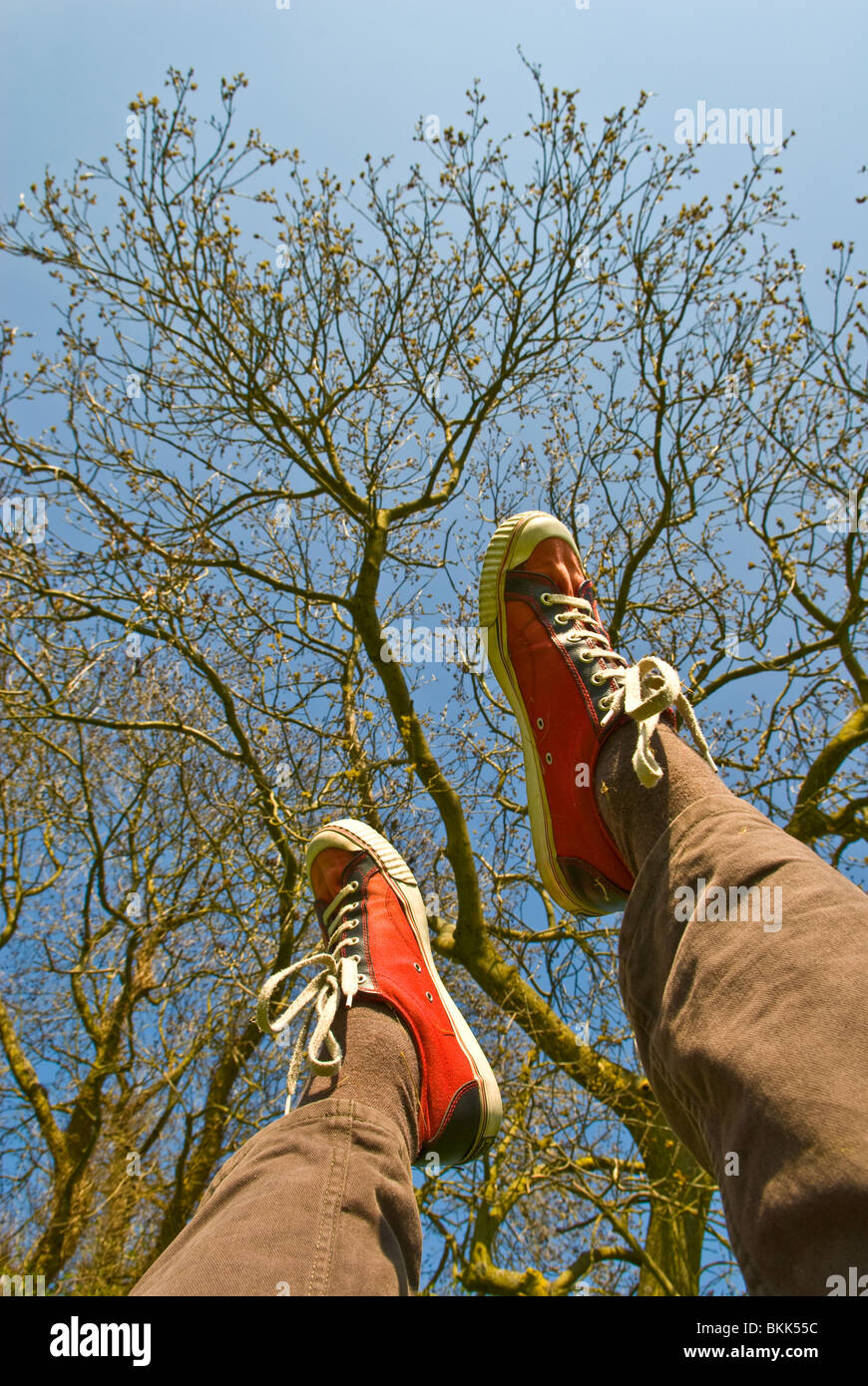 View of legs wearing red pumps falling from a tree Stock Photo - Alamy