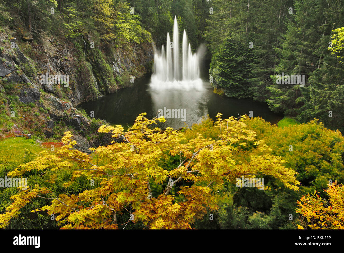 The Ross Fountain Butchart Gardens Stock Photos & The Ross Fountain ...