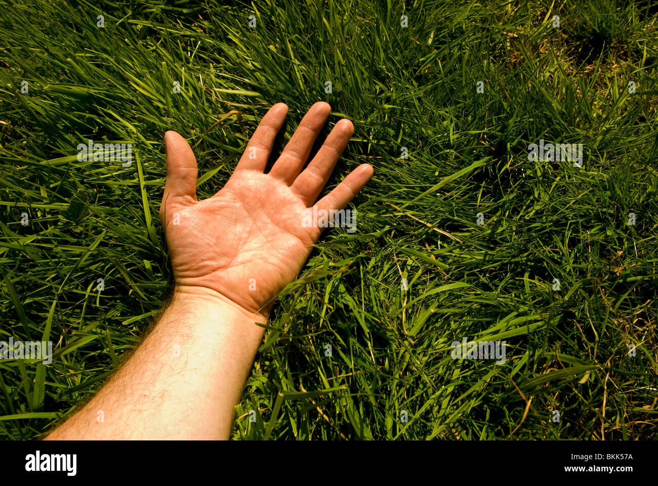 View of white Caucasian wrist and hand laying on grass Stock Photo - Alamy