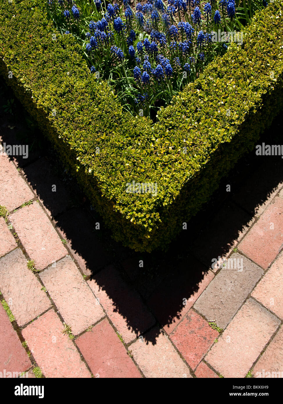 Triangle garden design hi-res stock photography and images - Alamy