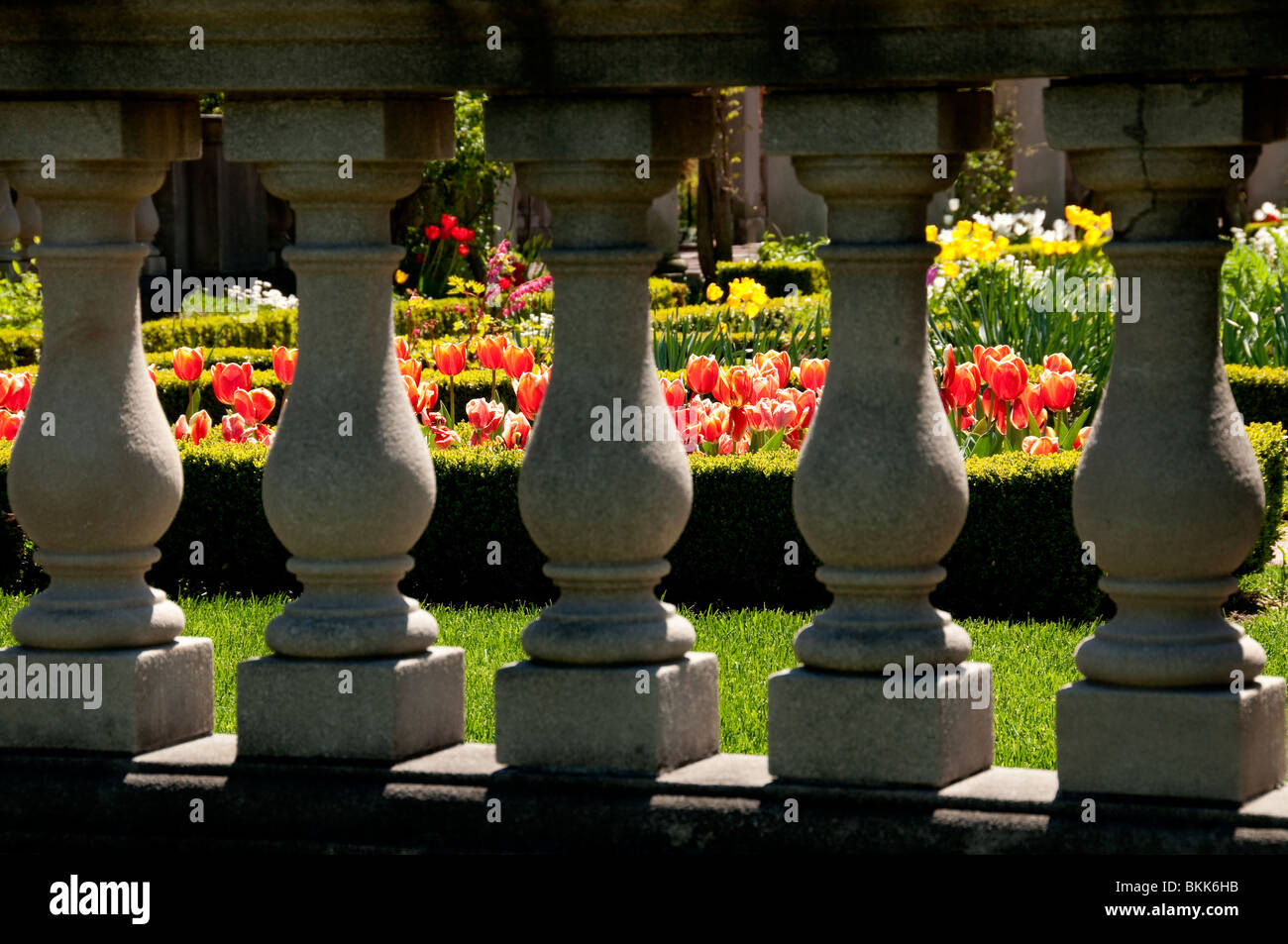 Tulip beds and columns Stock Photo - Alamy