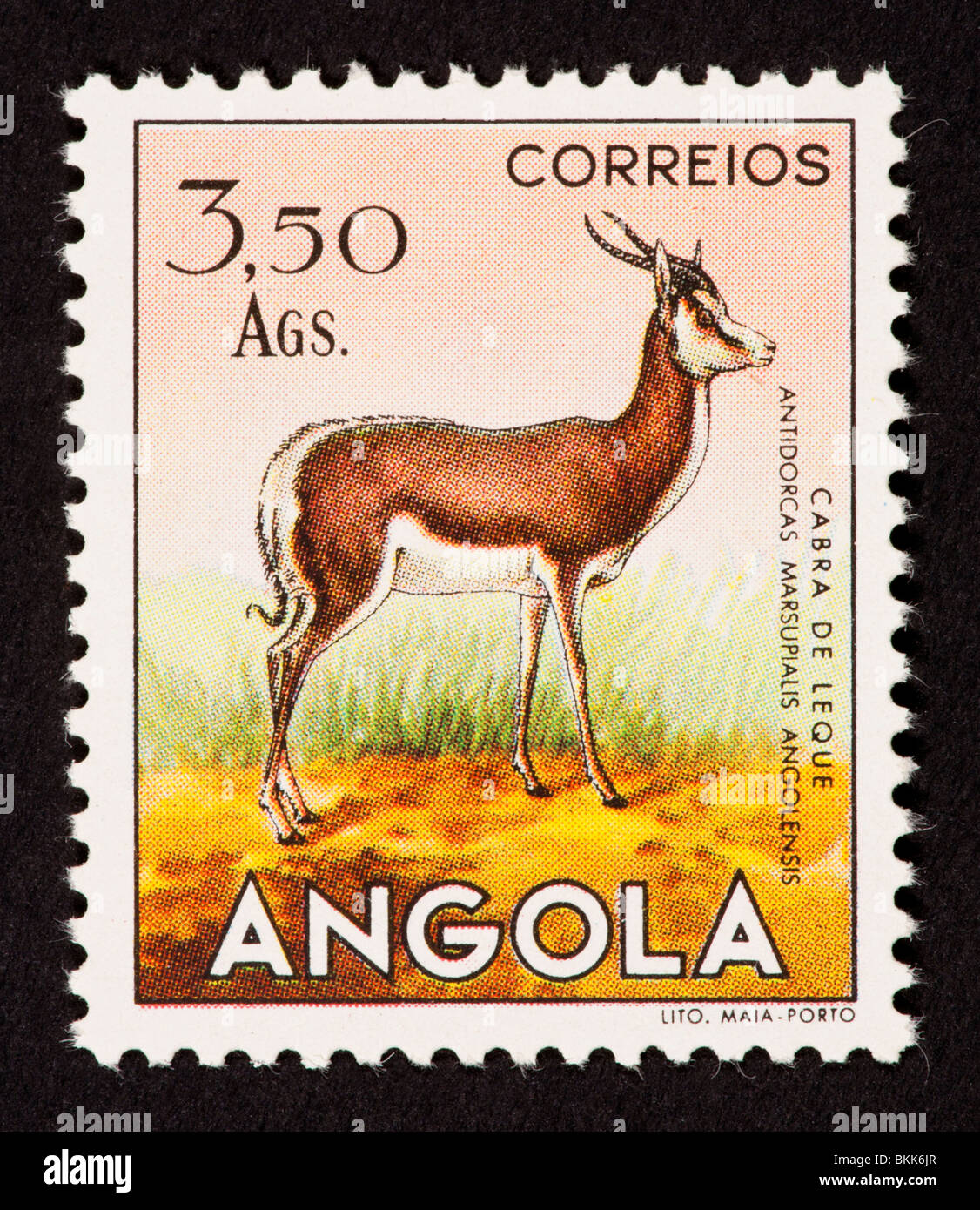 Postage stamp from Angola depicting a springbok Stock Photo - Alamy