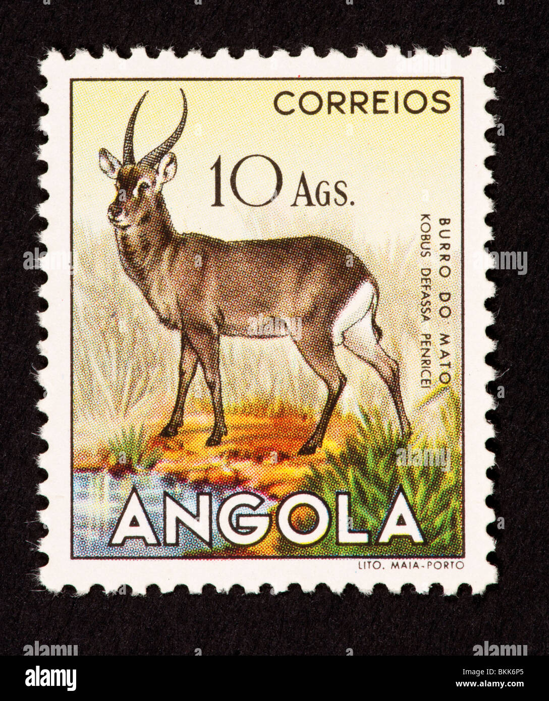 Postage stamp from angola depicting hi-res stock photography and images ...