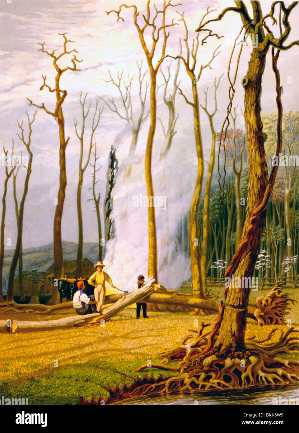 Settlers land clearing usa hi-res stock photography and images - Alamy