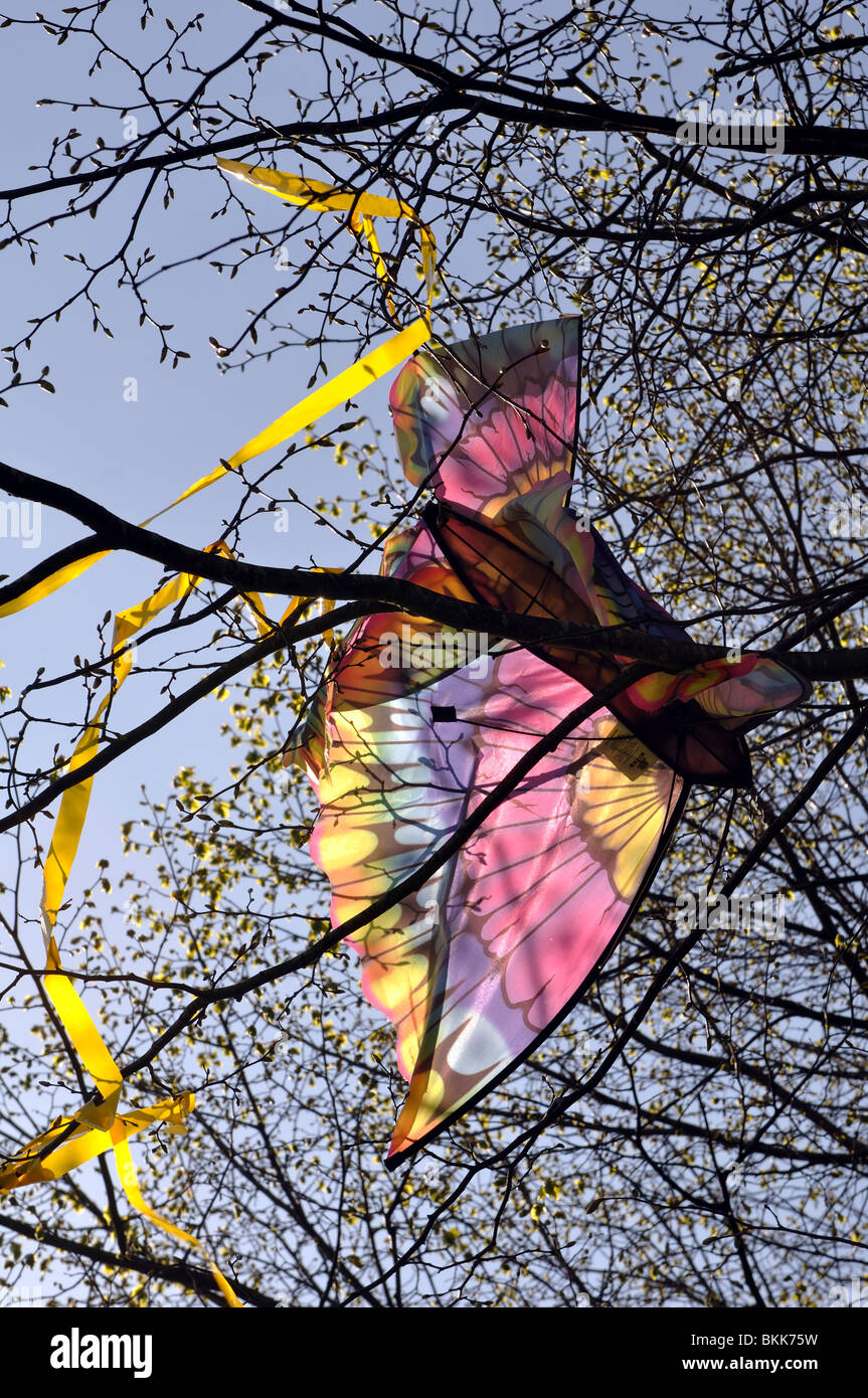 Kite stuck in tree hi-res stock photography and images - Alamy