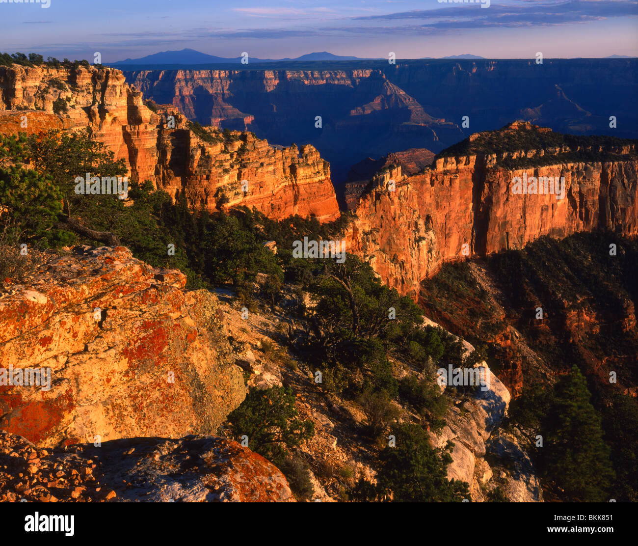 Wotans Throne from Cape Royal North Rim Grand Canyon USA Stock Photo ...