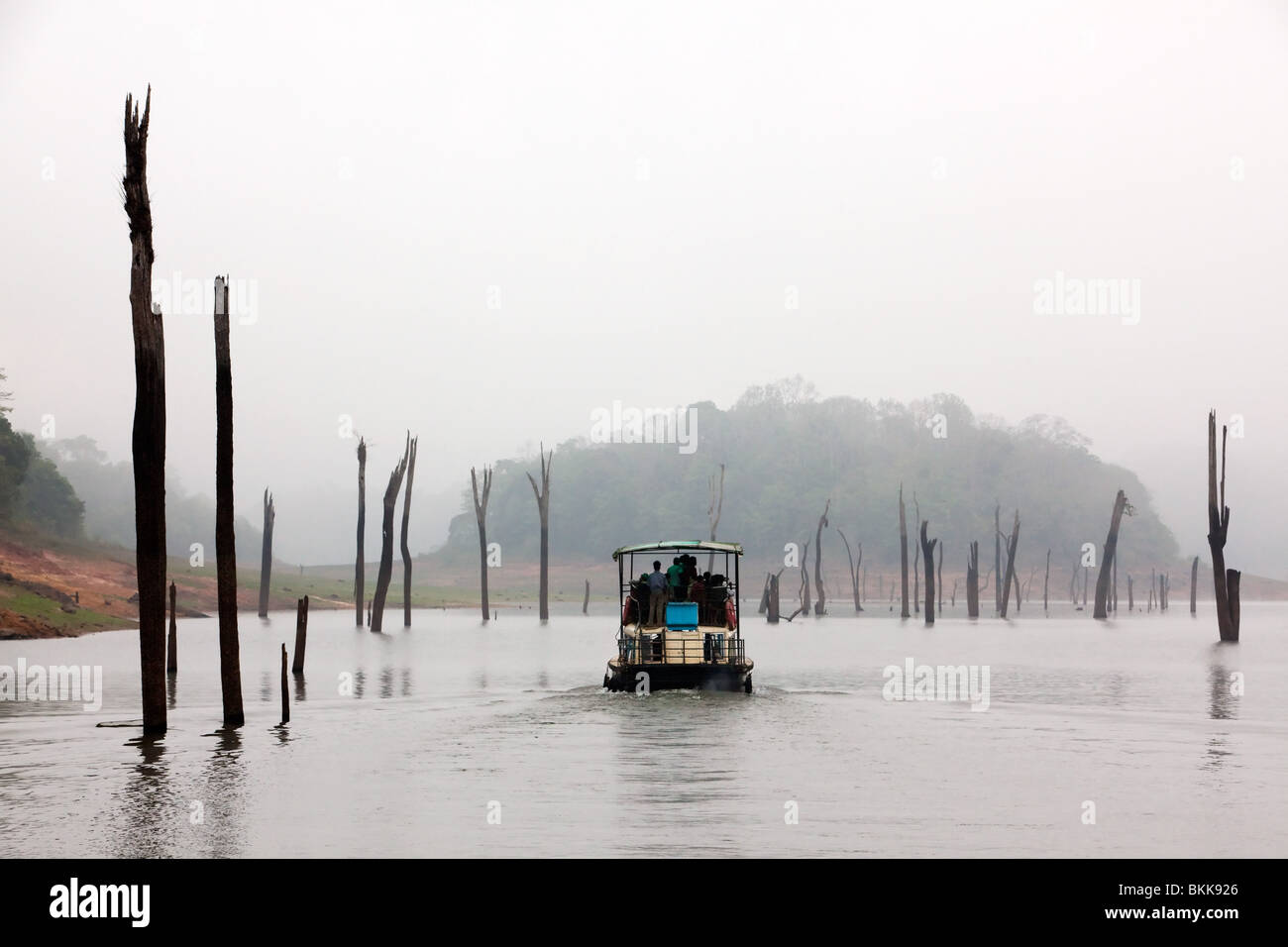 Periyar Lake Reserve in mumnar Kerala state india Stock Photo - Alamy