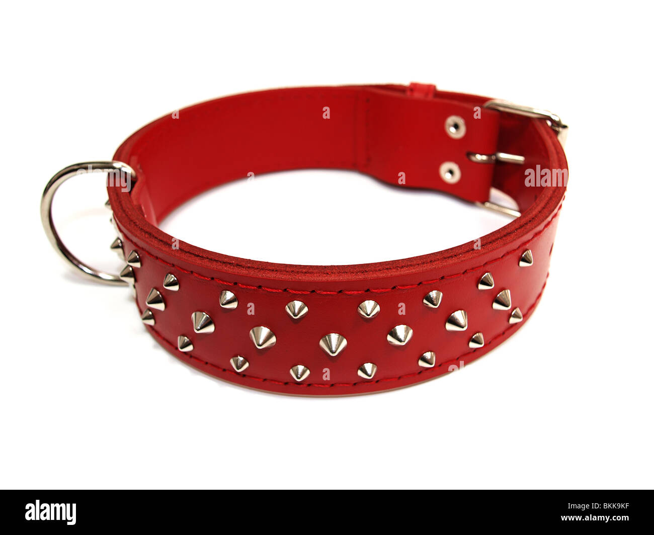 Leather collar hi-res stock photography and images - Alamy