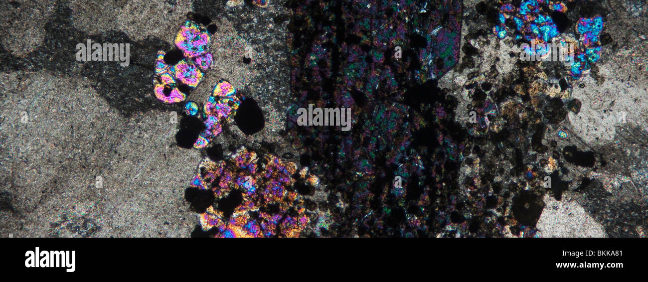 Metasomatic Marble rock sample photographed 10x to show mineral colours ...