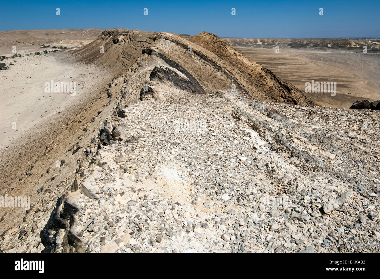 Rock layers in the Negev Israel Stock Photo - Alamy