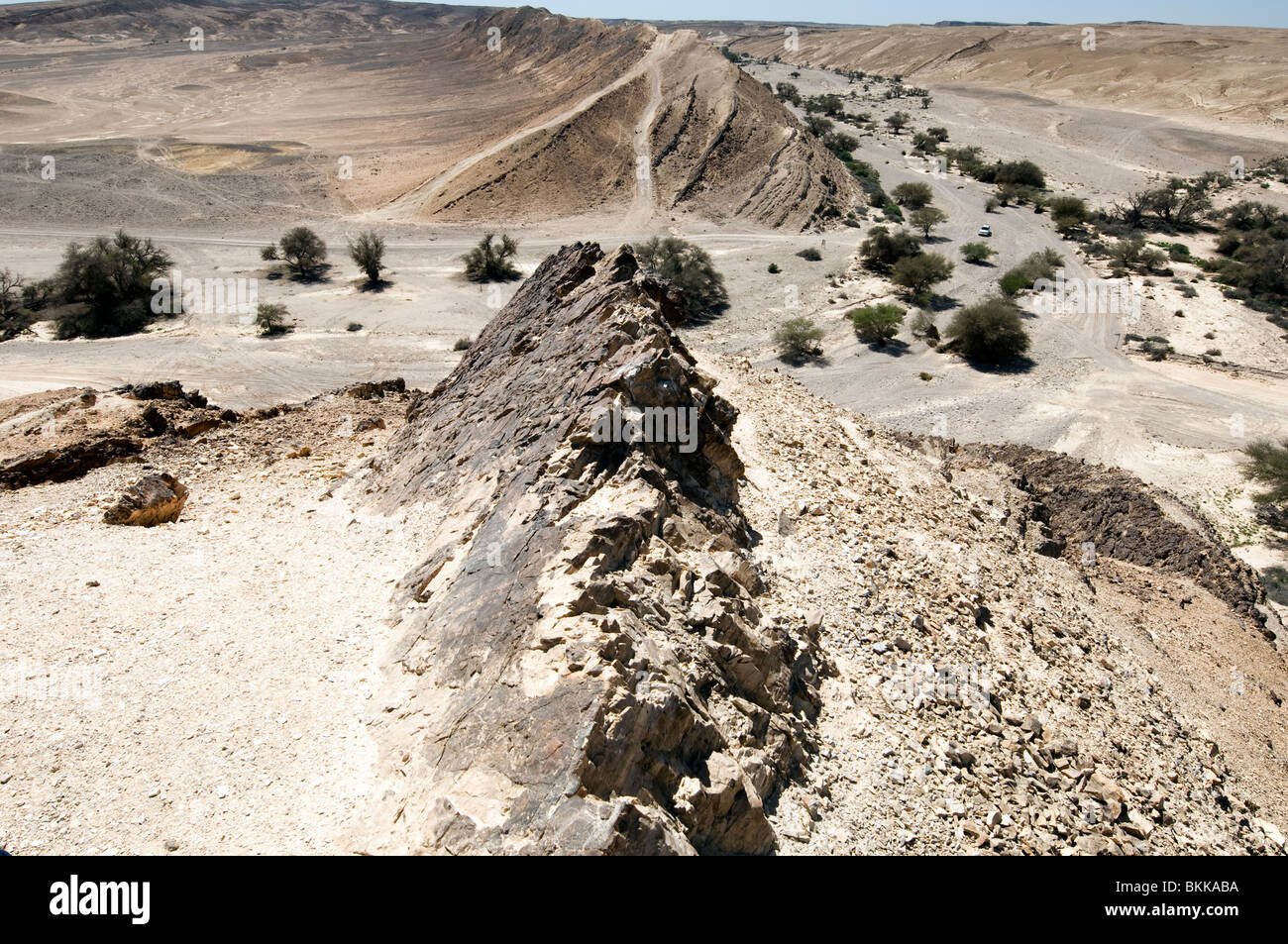 Rock layers in the Negev Israel Stock Photo - Alamy
