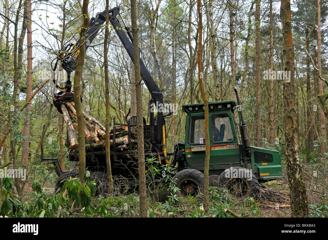 Forestry Operations High Resolution Stock Photography and Images - Alamy