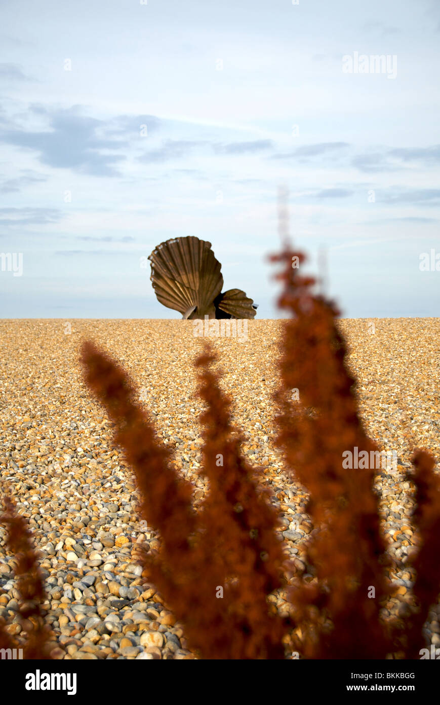 Maggie Hamblin Shell Sculpture Aldeburgh Suffolk UK Beach Sea Front ...