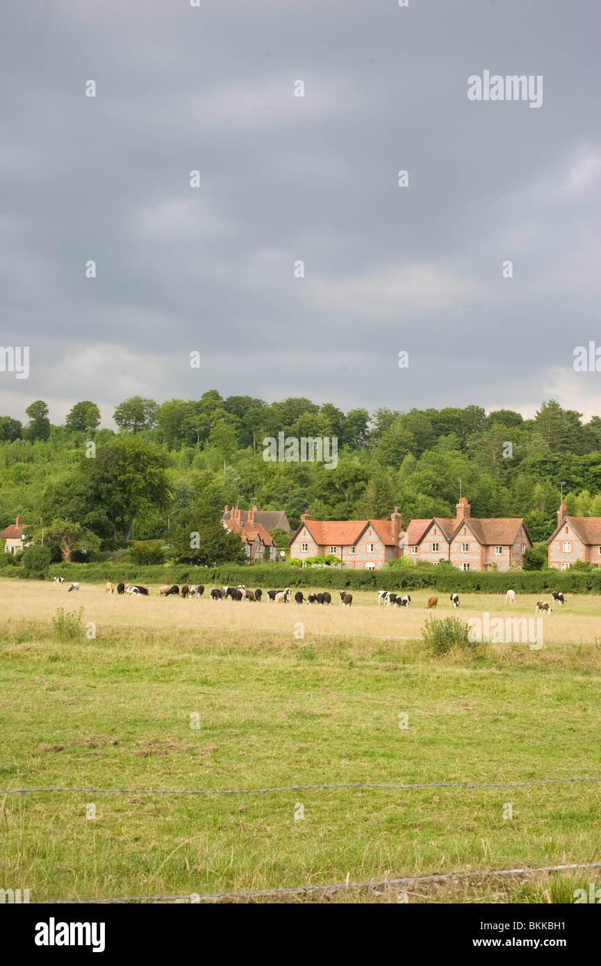 English countryside scene Stock Photo - Alamy