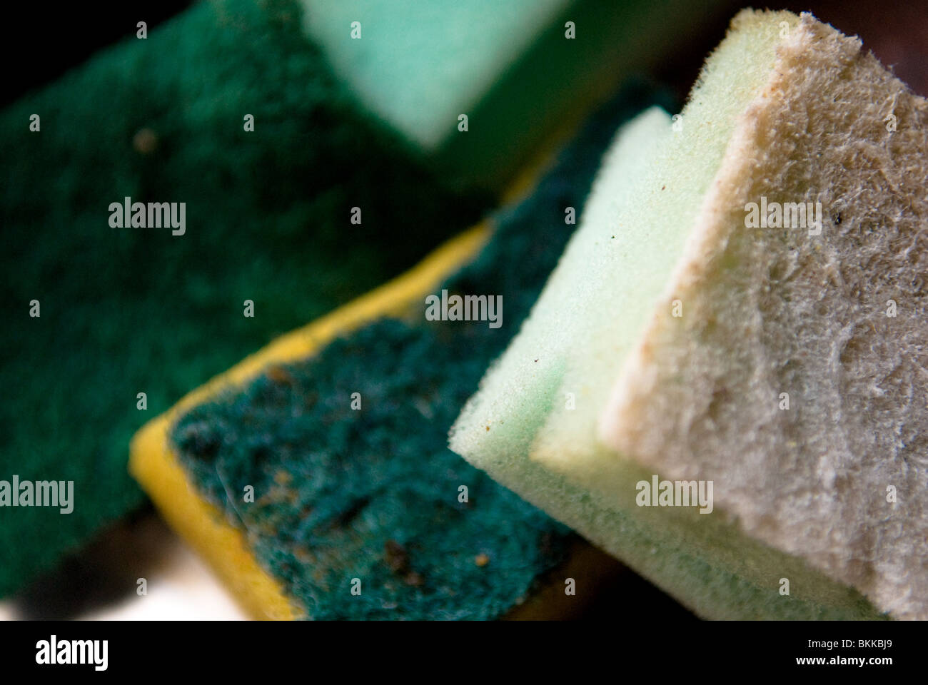 Scourer hi-res stock photography and images - Alamy