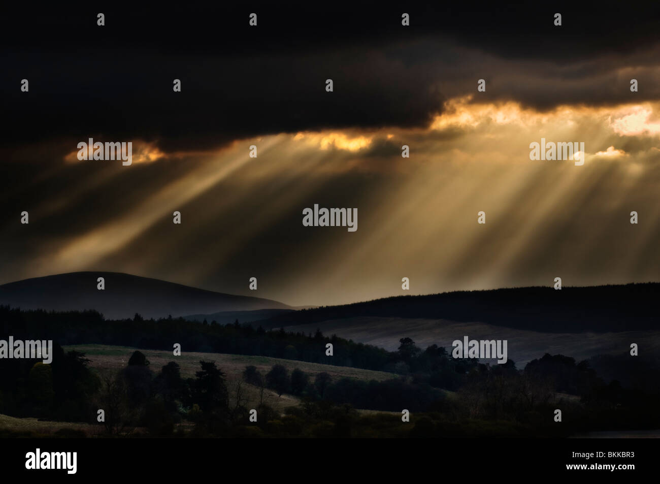 Sunrays breaking through stormy sky, taken early evening near Invershin ...