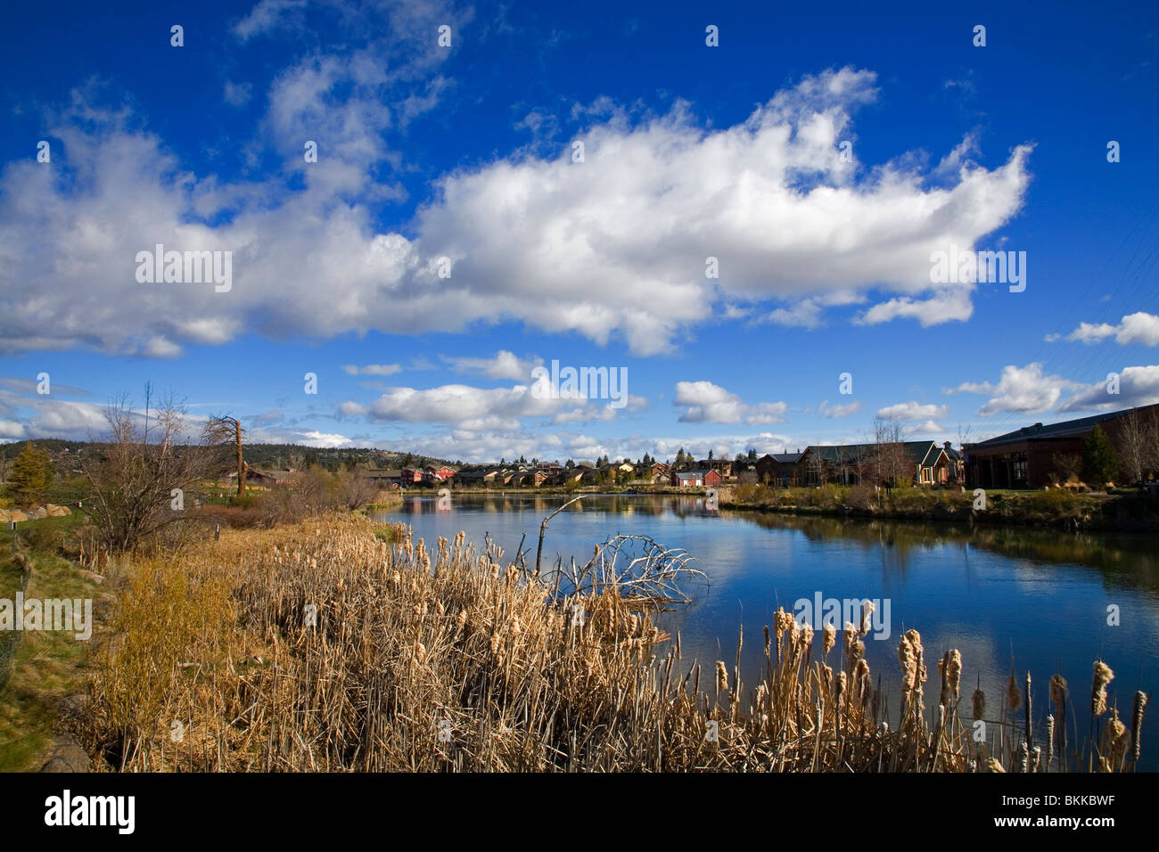 Blue sky and clouds over the deschutes river in bend hi-res stock ...