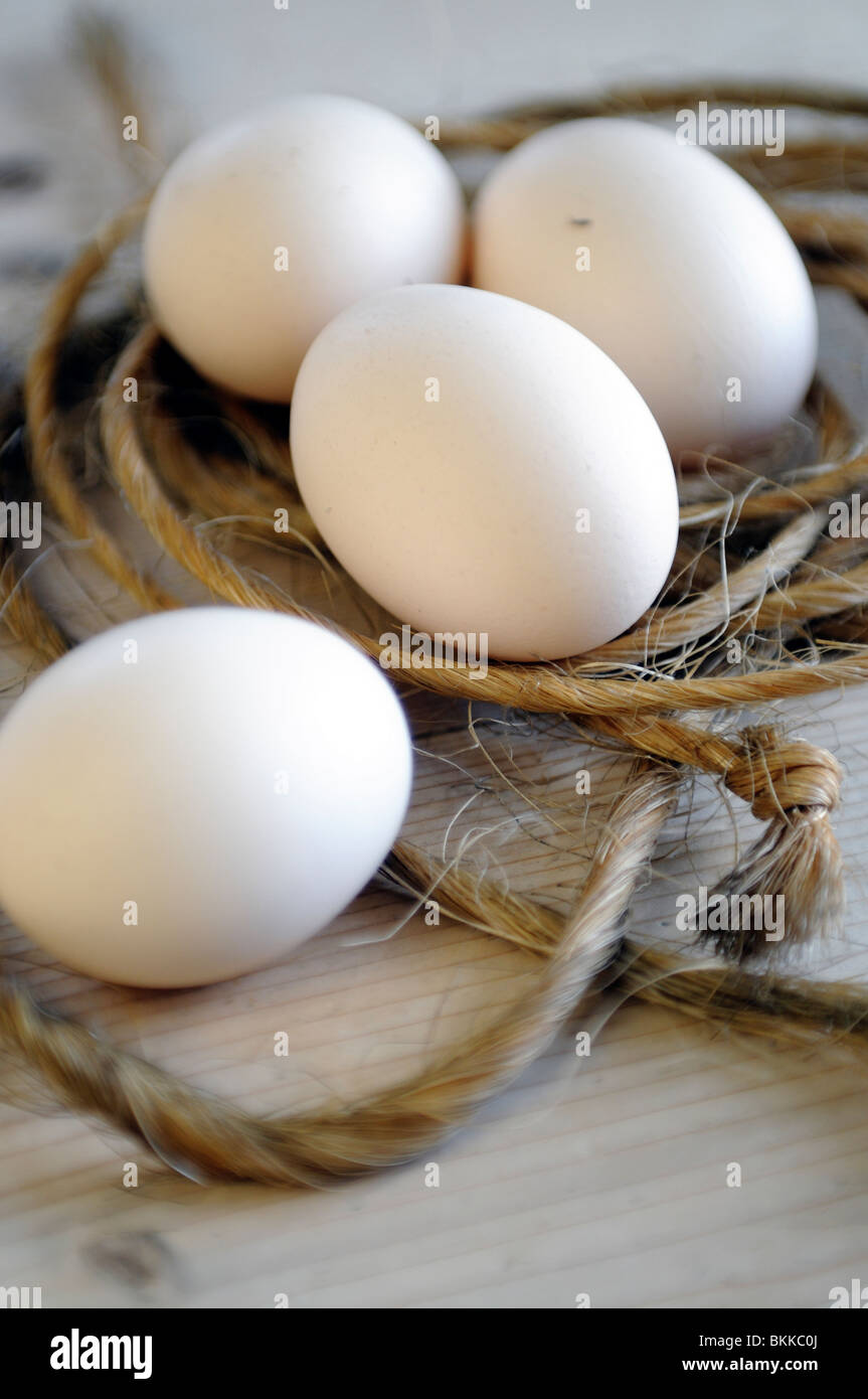Fresh free range organic eggs Stock Photo - Alamy