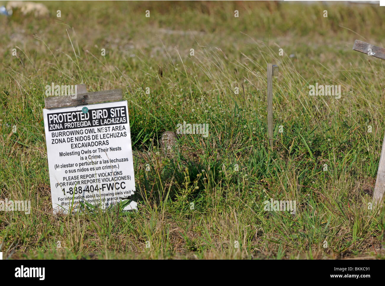 Burrowing owl warning hi-res stock photography and images - Alamy