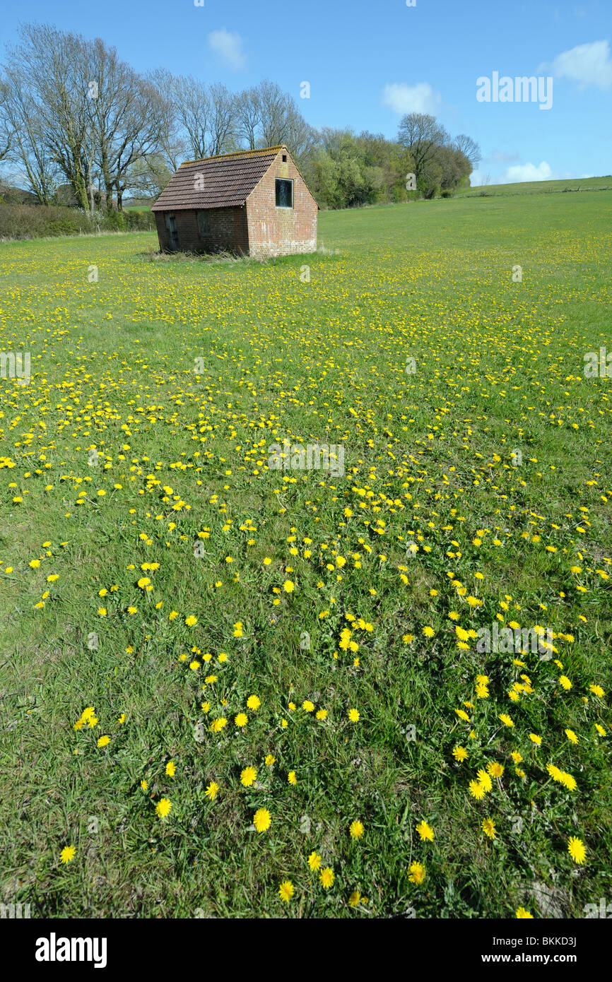 English field hi-res stock photography and images - Alamy