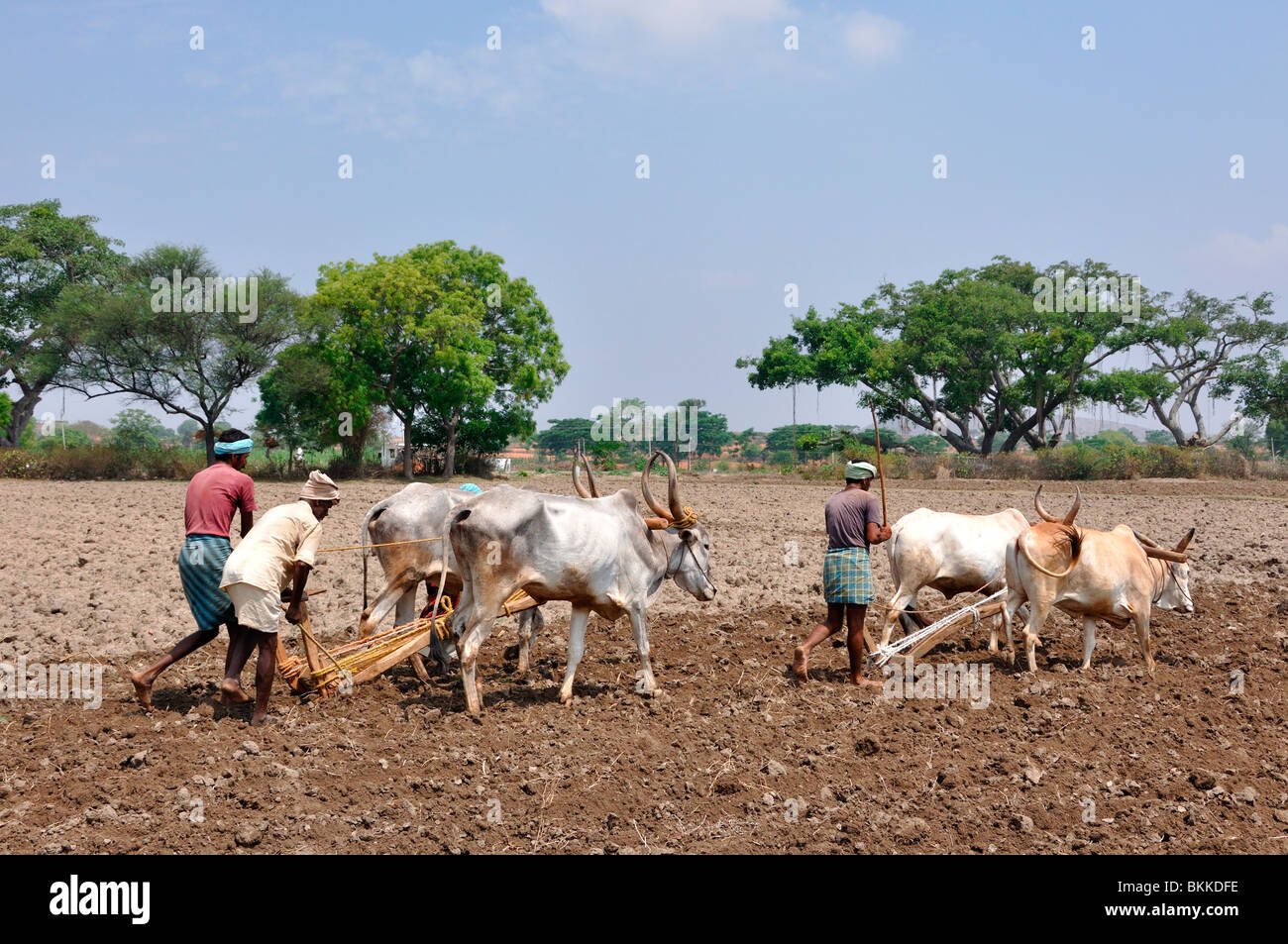 Indian farmers hi-res stock photography and images - Alamy