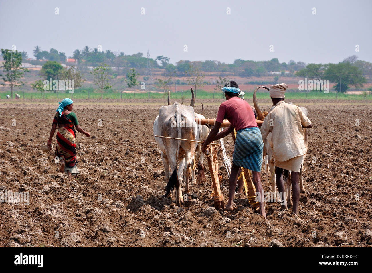 Plougher hi-res stock photography and images - Alamy