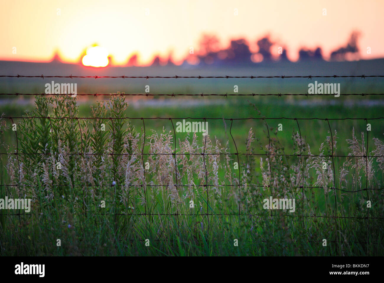 SUN SETTING IN CENTRAL ILLINOIS PRAIRIE FARMLAND Stock Photo - Alamy SUN SETTING IN CENTRAL ILLINOIS PRAIRIE FARMLAND Stock Photo - Alamy