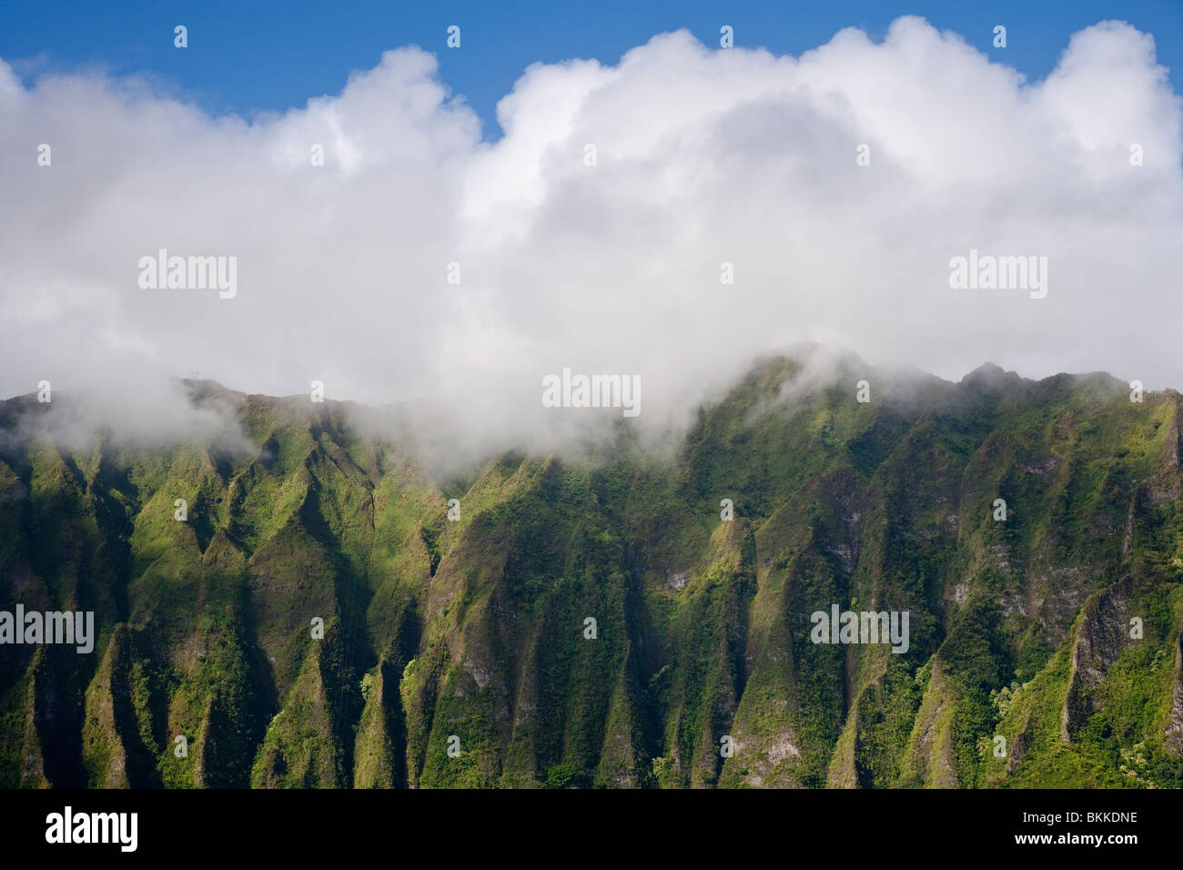 Koolau hi-res stock photography and images - Alamy