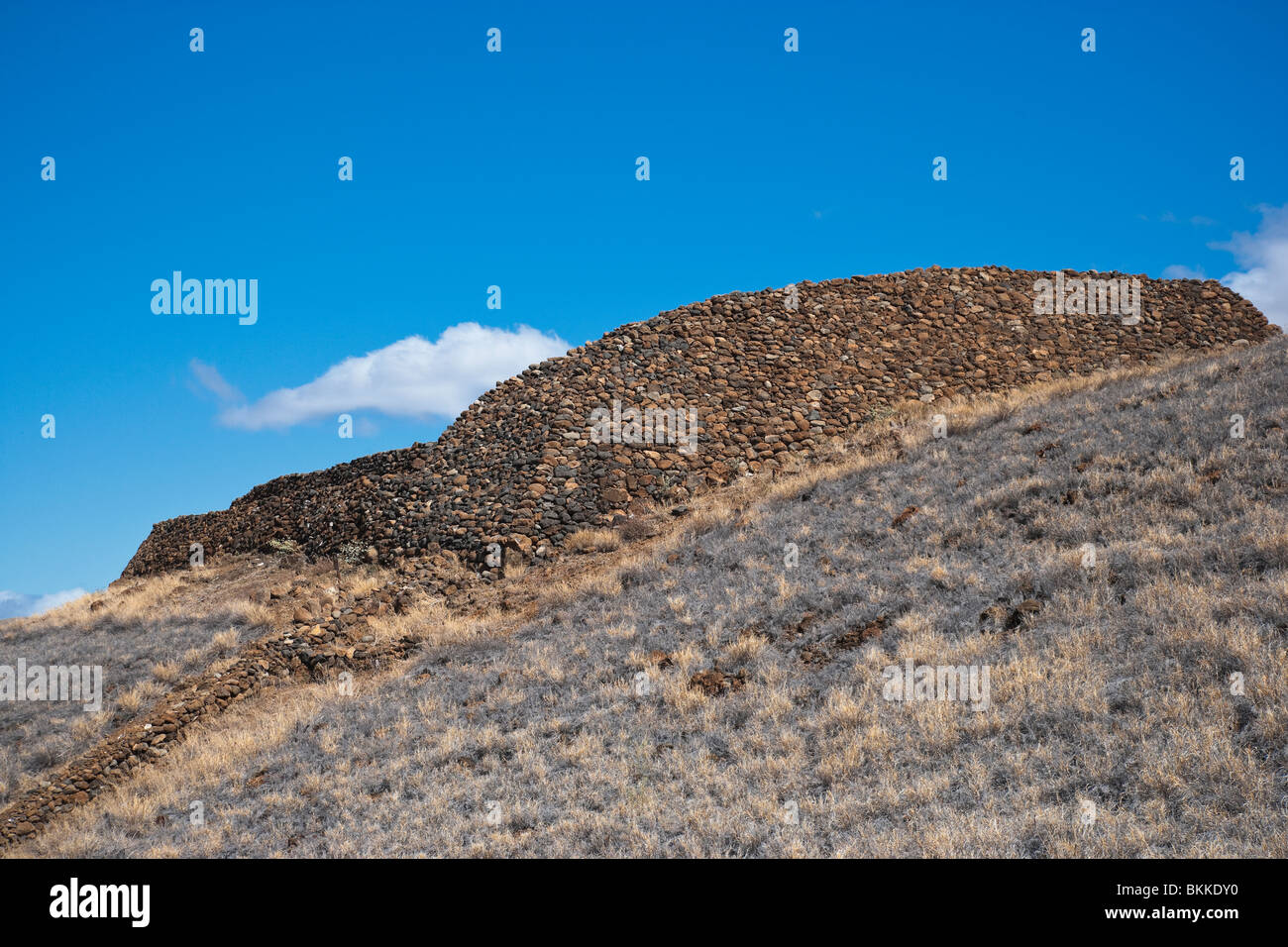 Pu`ukohola heiau hi-res stock photography and images - Alamy