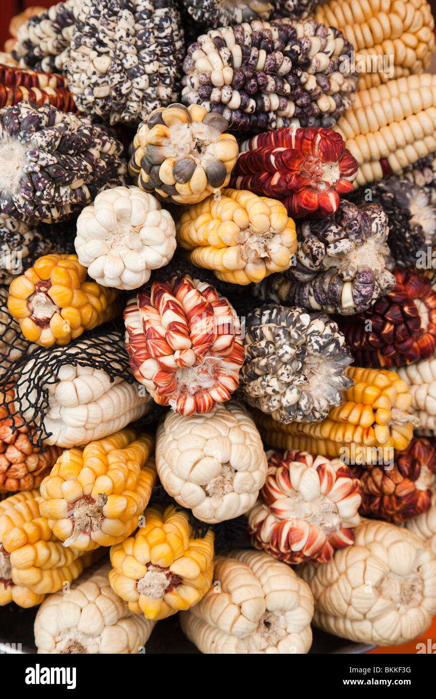 Maize varieties hi-res stock photography and images - Alamy