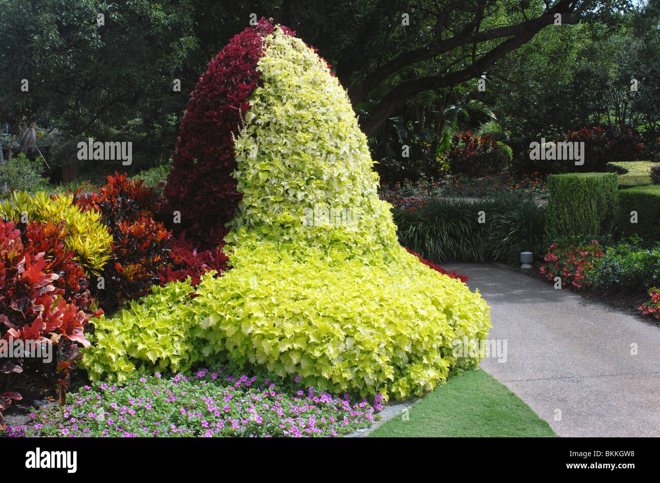 Roma Street Gardens, Brisbane, Queensland, Australia Stock Photo - Alamy