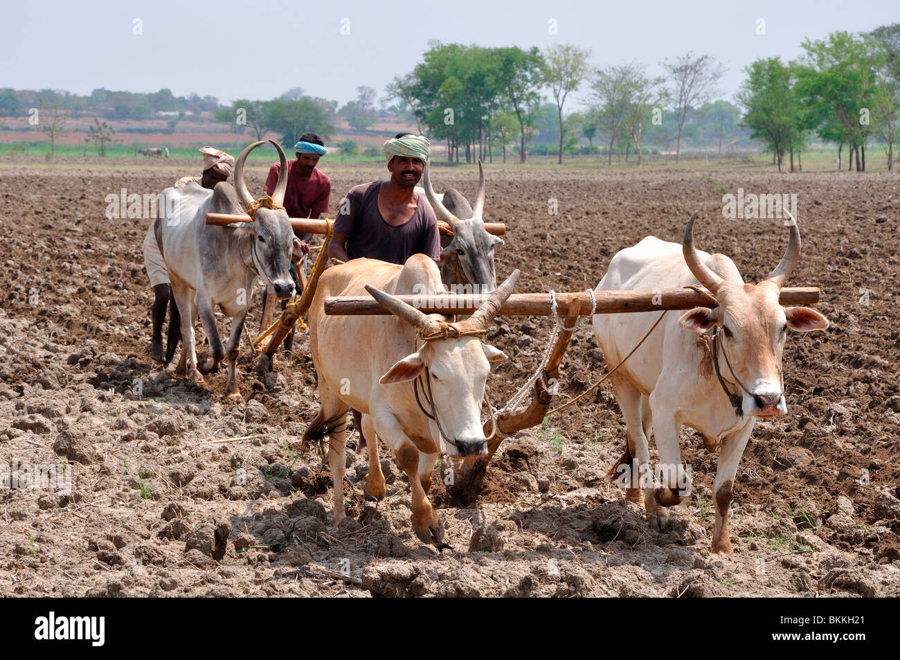Indian Farmers High Resolution Stock Photography and Images - Alamy
