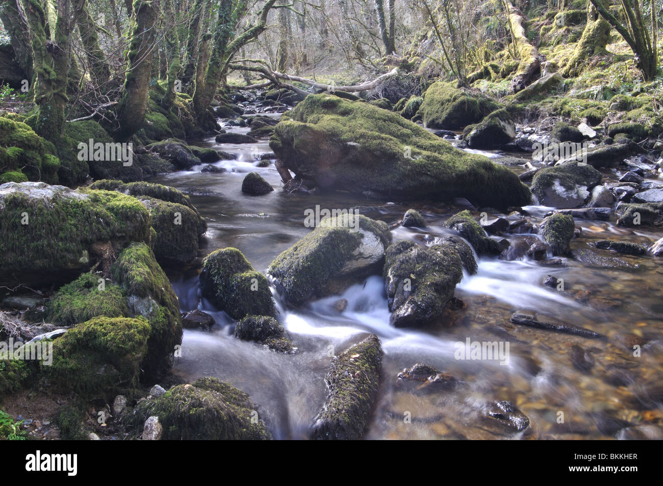 Crosswell hi-res stock photography and images - Alamy