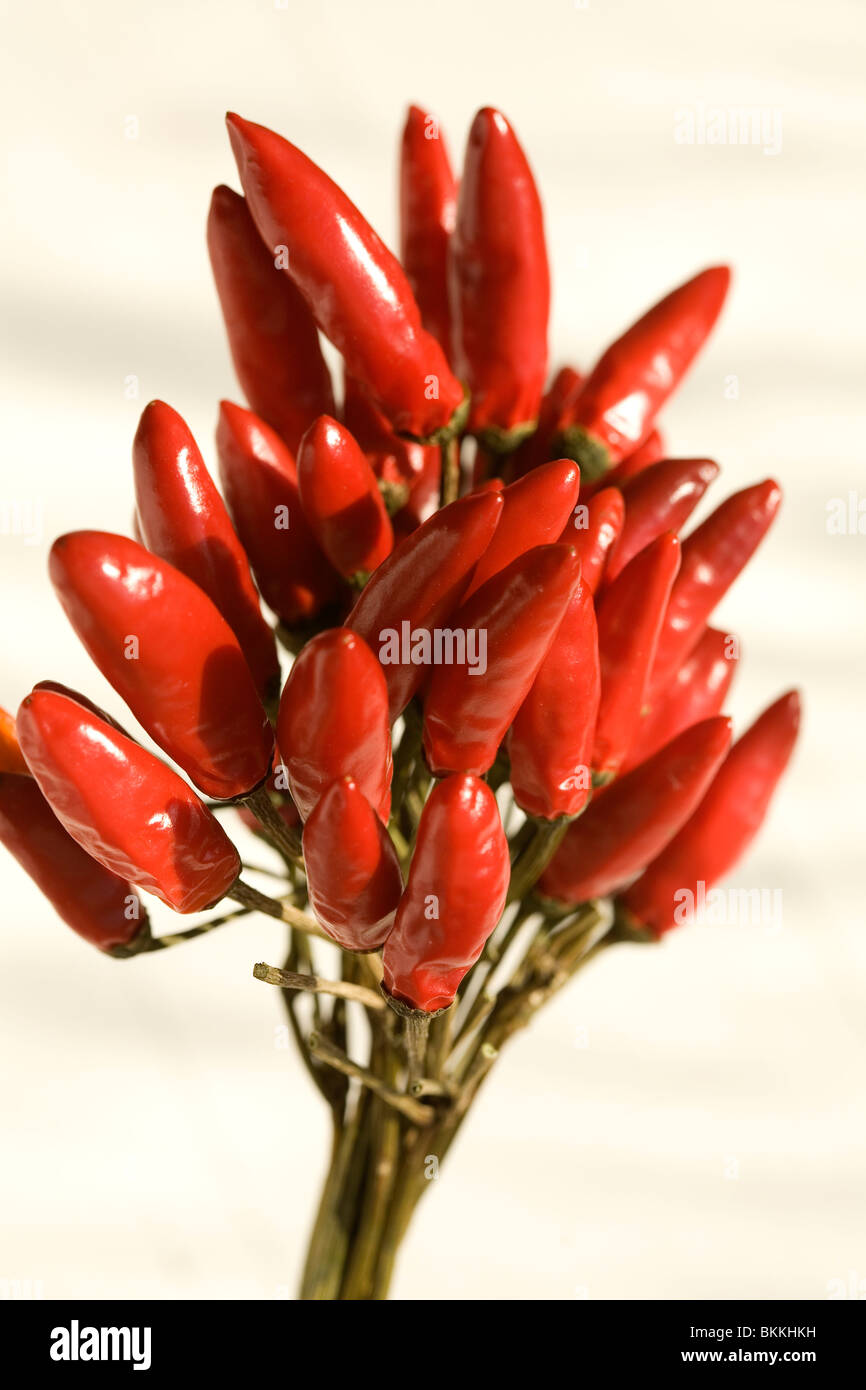 bunch of small chilli peppers Stock Photo - Alamy