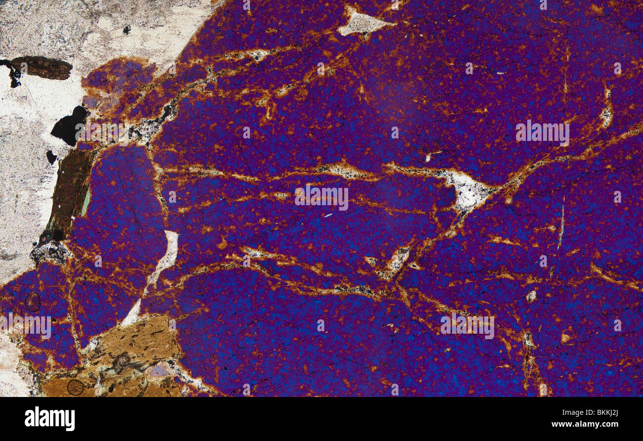Granite Ordovician rock sample photographed 10x to show mineral colours ...