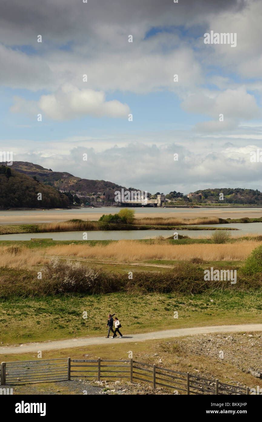 The Conwy river estuary nature reserve and Conwy Castle, North Wales UK ...