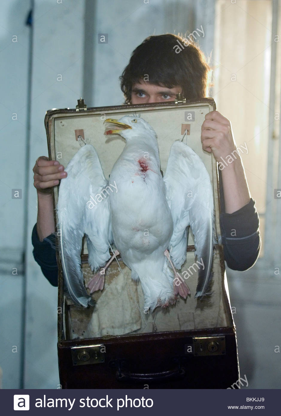 Martin Crimp Stock Photos & Martin Crimp Stock Images - Alamy