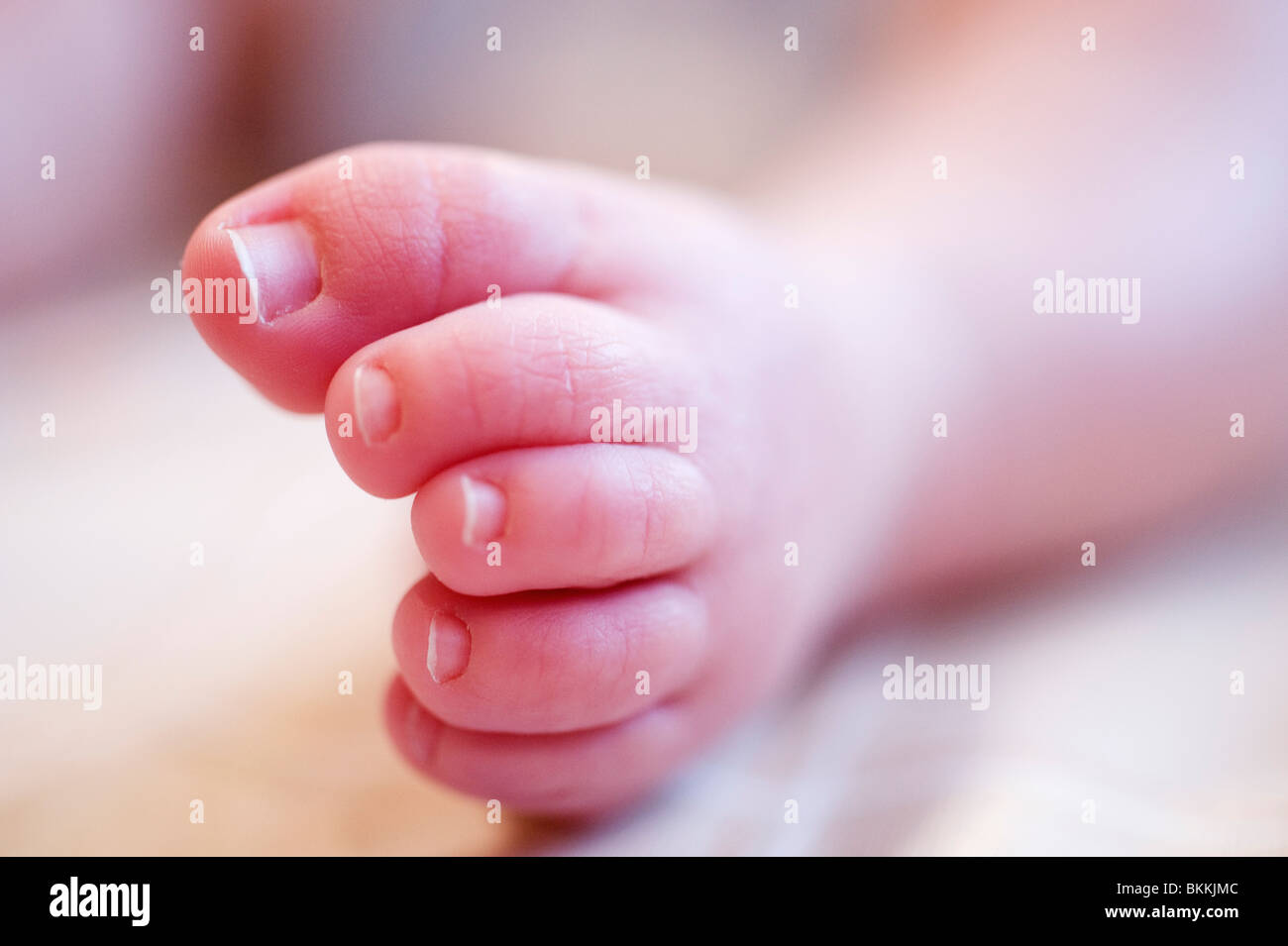 Tiny baby foot hi-res stock photography and images - Alamy
