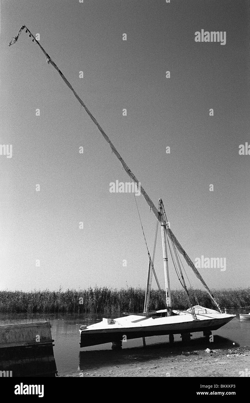 Lateen rigged boat hi-res stock photography and images - Alamy