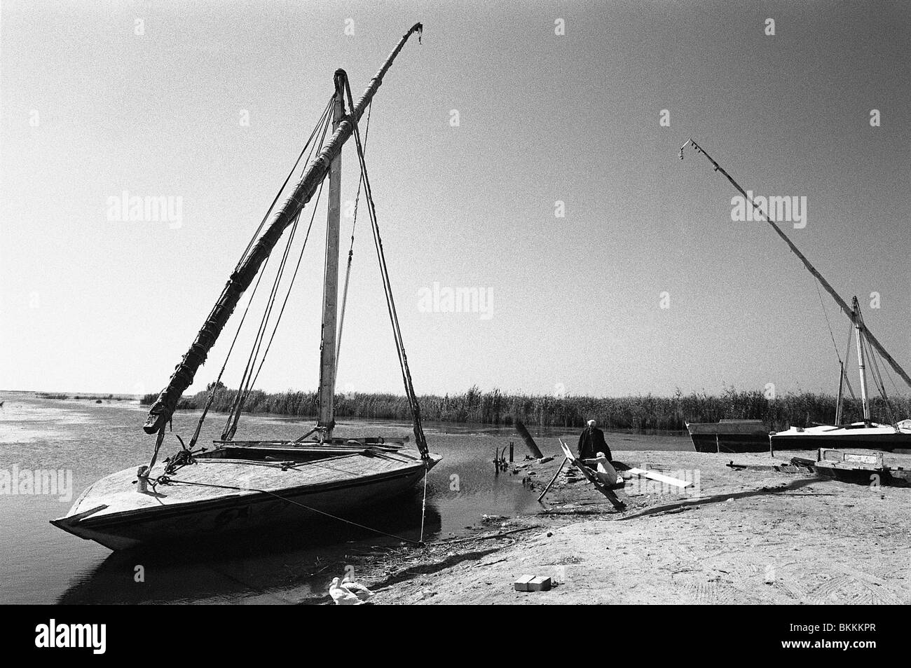 Traditional lateen-rigged boats on Lake Manzalah Stock Photo - Alamy