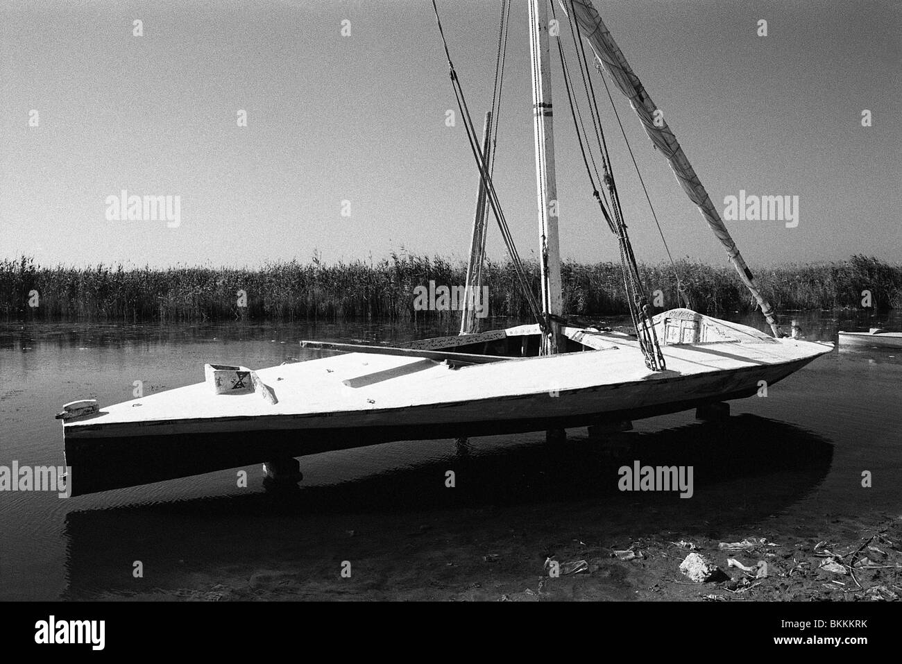 A traditional lateen-rigged boat on Lake Manzalah Stock Photo - Alamy