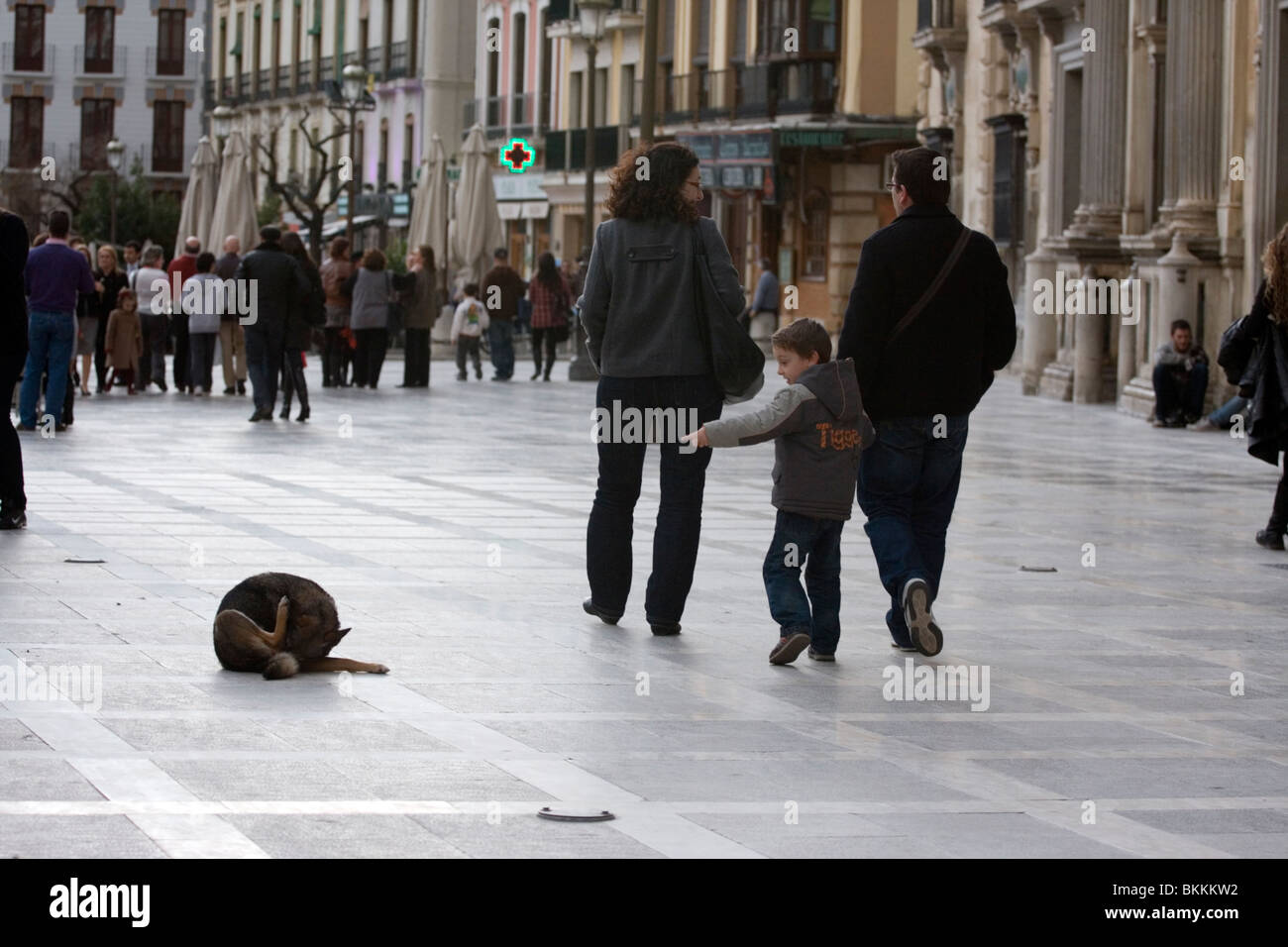 Child pointing at dog having a scratch in plaza Stock Photo - Alamy