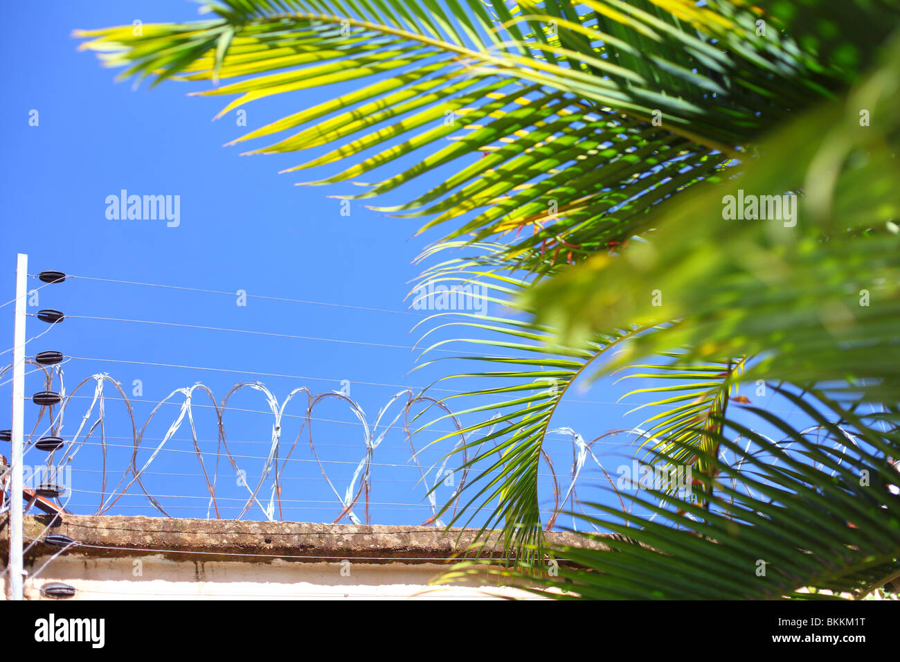 Secure compound hi-res stock photography and images - Alamy