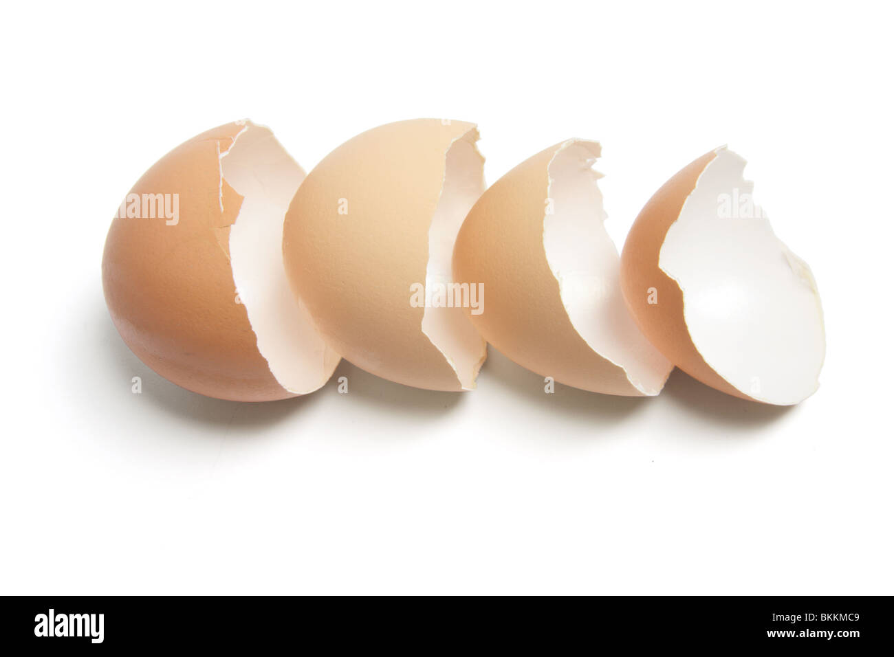 Half shells hi-res stock photography and images - Alamy