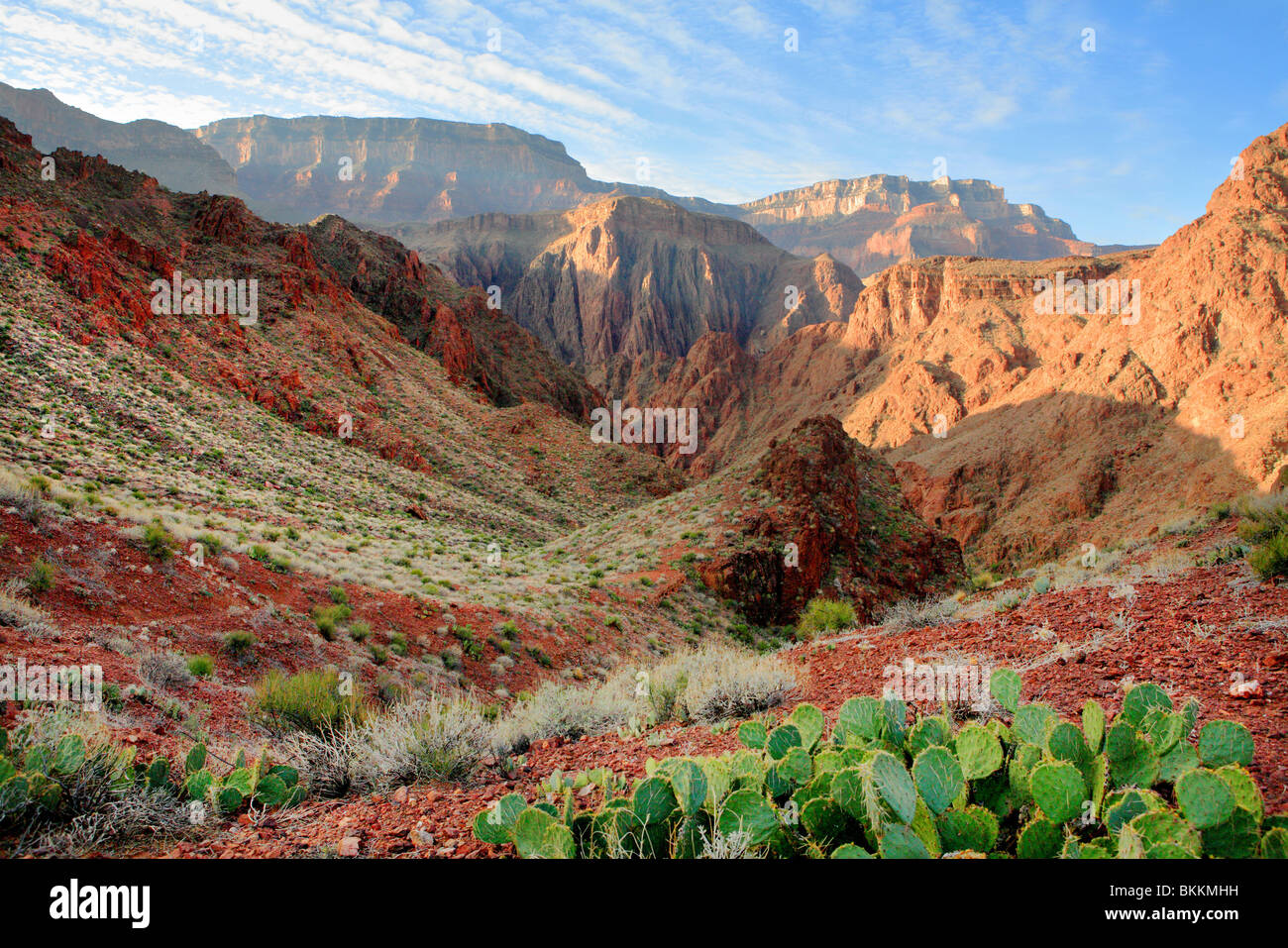 VIEW FROM CLEAR CREEK TRAIL NEAR PHANTOM RANCH INSIDE GRAND CANYON IN ...